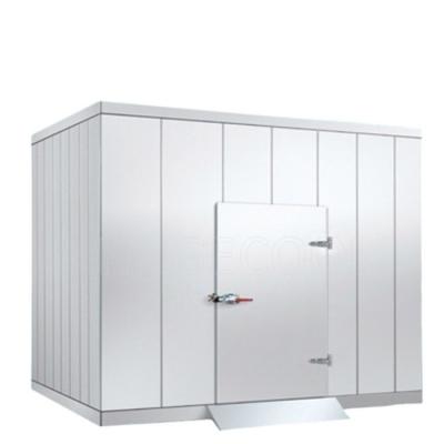 China Customization Cold Room Chiller/Freezer Room Sliding Door Hinged Door Keeping Fresh for sale