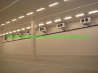 China Food Grade Professional Cold Room Cooler/Chiller/Freezer Room with Air Cooler Design for sale