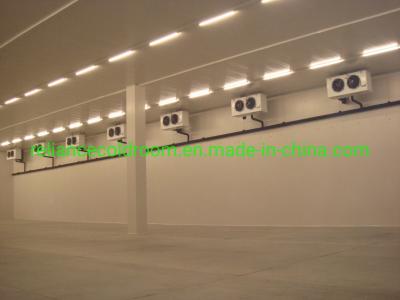 China Food Grade Professional Cold Room Cooler/Chiller/Freezer Room with Air Cooler Design for sale