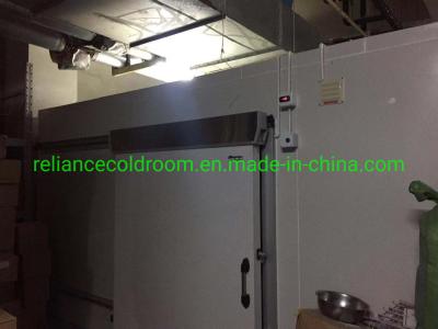 China Cold Storage Blast Freezer Walk in Cooler/Chiller/Freezer for Beef Meat Fish -10-0C for sale