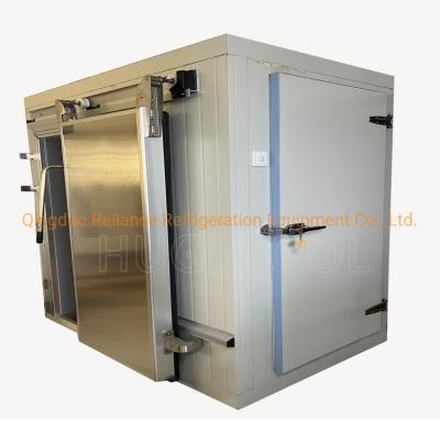 China Large Capacity COLDROOM33 Walk in Freezer Room for Frozen Food Fish Meat Preservation for sale