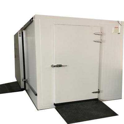 China Walk-in Chiller Cold Room for Supermarket Shop and Restaurant Tailored to Your Needs for sale