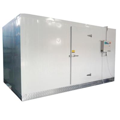 China 60Hz Indoor Walkin Freezer for Ice Cream Storage Cold Room as Per Your Requirements for sale