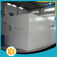 China Freon Refrigerant Commercial Cold Room for Meat Fish Food Fruit Chicken and Vegetables for sale