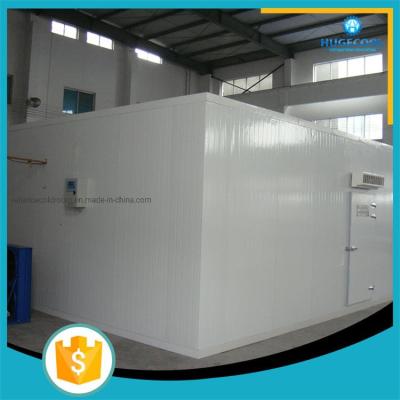 China Freon Refrigerant Commercial Cold Room for Meat Fish Food Fruit Chicken and Vegetables for sale