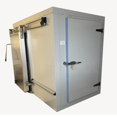 China Customized Blood Temperature PU/PIR Sandwich Panel for Chiller/Freezer/Cold Room for sale