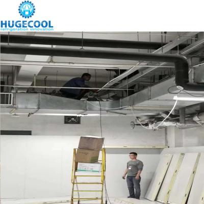 China Commercial Cold Room for Distribution of Frozen Goods or Fresh Keeping in Nature for sale
