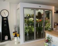 China Scroll Compressor Walkin Freezer Commercial Glass Door Freezer with -0.4f Temperature for sale