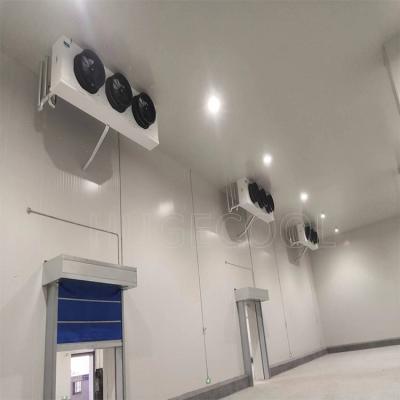 China 220V/380V/400V/440V Customized 50m*50m Cold Storage with Rack Refrigeration System for sale