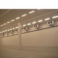 China Customization Commercial Cooling System for Fish Fruit Vegetable Storage Freezer Room for sale