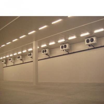 China Customization Commercial Cooling System for Fish Fruit Vegetable Storage Freezer Room for sale