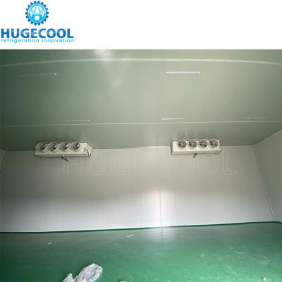 China R507 Refrigerant Model Assembled Customized Design Cold Storage Freezer Room for Food Processing for sale