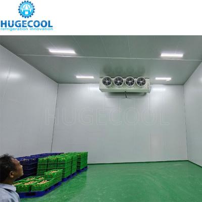 China 200 Kw Cooling Capacity Walk-in Freezer Fridge with PU Sandwich Panel Insulation Material for sale