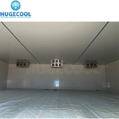China Galvanized Steel Prefabricated Cold Rooms for Large Vegetable Refrigerator Storage for sale