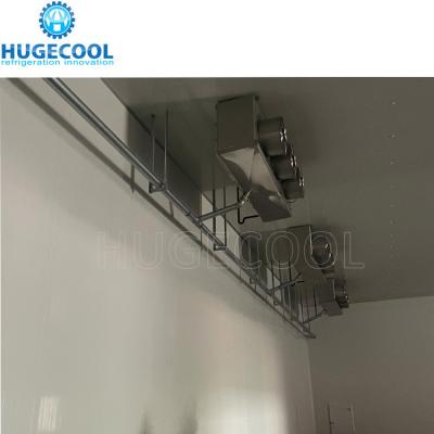 China Pre-Made Food Cold Chain Freezer with R507 Refrigerant and PU Sandwich Panel Insulation for sale