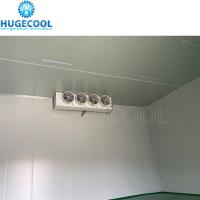China Medium-Sized Commercial Walk in Freezer and Cooler Combo Easy Installing Cold Room for sale