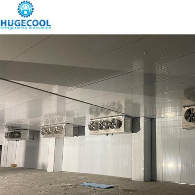 China Walk in Cooler for Frozen Lobster Seafood Chicken Restaurant Hugecool 100mm Thickness for sale