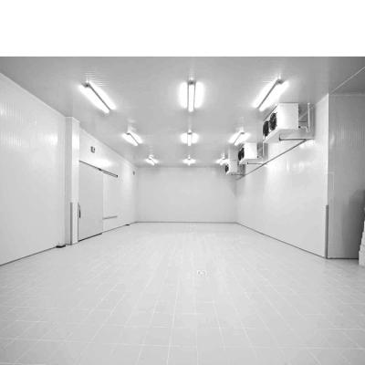 China Customized Design Cold Room Walk-in Chiller Freezer for Precise Temperature Management for sale
