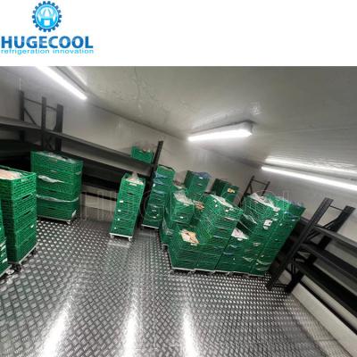 China 100mm PU Panel Assembled Structure Walk-in Deep Freezer Cold Room for Seafood for sale