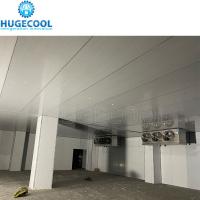 China Water Cooling Cold Storage Sliding Door with Special Platform and Freon Refrigerant for sale