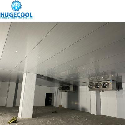 China 50mm PU Panel Thickness Cold Room Hinged Door for -10-0C Temperature Special Platform for sale