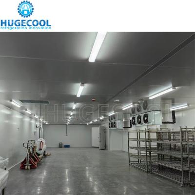 China Mobile Container Cold Storage Room for Meat using Blast Freezer and PU Panel Floor for sale