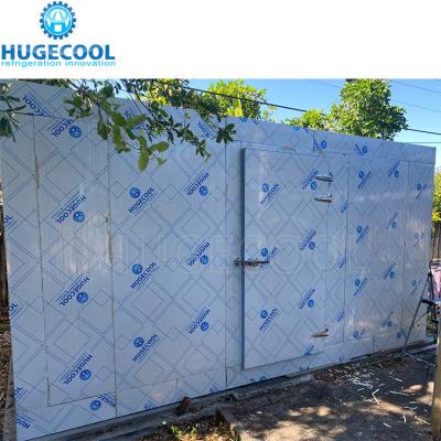 China Commercial Refrigeration Cold Storage Freezer Room For Sea Food Meat Frozen Food for sale