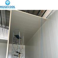 China Water Cooling Beef Slaughter Plant Factories With Stainless Steel Panel Blast Freezer for sale