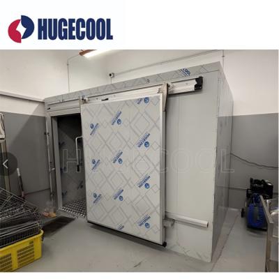 China PVC Coated Steel Freezer Cold Room Pharmaceutical Cold Storage Ice Cream Hardening Room for sale