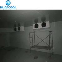 China Fresh Keeping CFC-Free PU Panel Cold Room for sale
