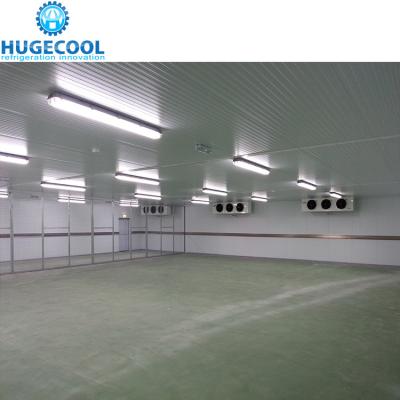 China Prefabricated Modular Pu Panel Cold Room for sale