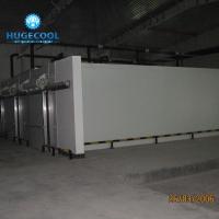 China Deep Freezer Cold Room For Meat And Fish With Full Automatic Control for sale