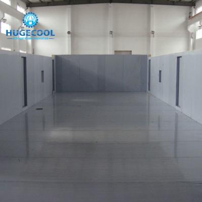 China Vegetables Blast Freezer Cold Room , Prefabricated Cold Room Easy Installation for sale