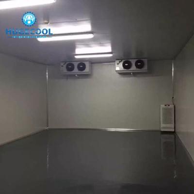 China Customized Size Portable Cold Room -45-20 Centigrade Temperature for sale
