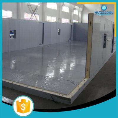 China With the new type PU panel and famous accessory cold room for sale