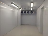 China Temperature Range Minus 40 Celsius To Plus 10 Celsius Modular Cold Room Installation Modular Ideal For Supermarket Storage Solutions for sale