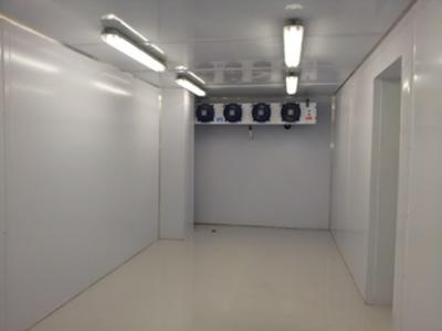 China Temperature Range Minus 40 Celsius To Plus 10 Celsius Modular Cold Room Installation Modular Ideal For Supermarket Storage Solutions for sale
