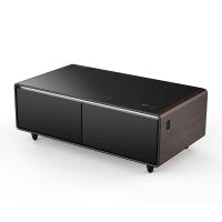 China Modern Mini Fridge Tea Table with Music Player and Temperature Range of 3 8 C/6- 12 C for sale