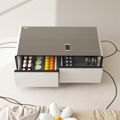 China Smart Coffee Table Primst 2024 Mini Living Refrigerator with Two Cooling Drawers for sale