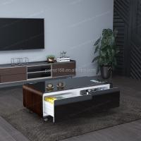 China Adjustable Double Door Refrigerator Smart Coffee Table Modern Living Room Furniture for Your Home for sale