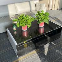 China Private Mold Tempered Glass Top Music Beverage Refrigerator with Two Storage Drawers for sale