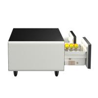 China Modern Design Style Smart Coffee Table with Small Refrigerator and Music Player 75W for sale