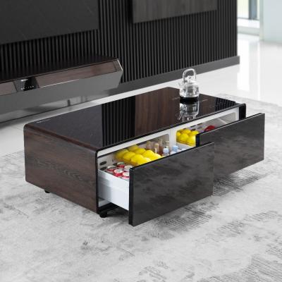 China Living Room Furniture Mini Refrigerator Side Table with Music Player and Freezer Fridge for sale