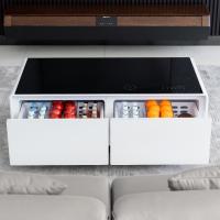 China Living Room Furniture Coffee Table with Freezer and Mini Refrigerator Stainless Steel for sale