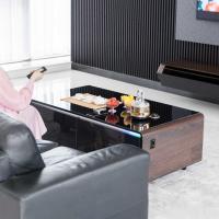 China Living Room Furniture Coffee Table with Freezer and Mini Refrigerator Stainless Steel for sale