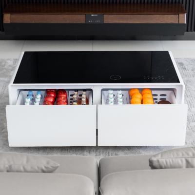 China White/Black/Wood Smart Coffee Table USB Wireless Charging Mini Refrigerator Side Table for sale