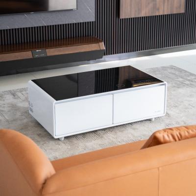 China Hotel Bedroom Furniture Modern Coffee Table with Built-in Refrigerator Freezer Drawer for sale