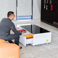 China Hotel Bedroom Furniture Modern Coffee Table with Built-in Refrigerator Freezer Drawer for sale