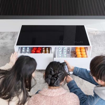 China Modern Design Metal Coffee Table with Luxury Wireless Charging and Freezer Refrigerator for sale