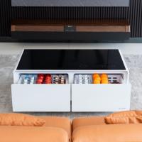 China Modern European Style Multifunction Coffee Table with Wireless Charging and Freezer for sale